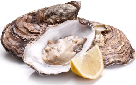 Huitre - Groupe Charlet